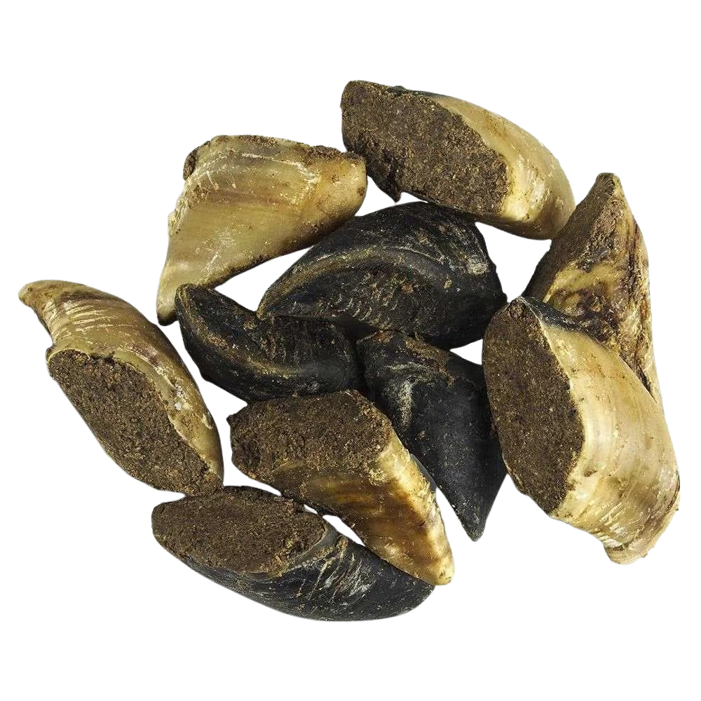 Filled Hooves | Levernbank Kennels & Cattery